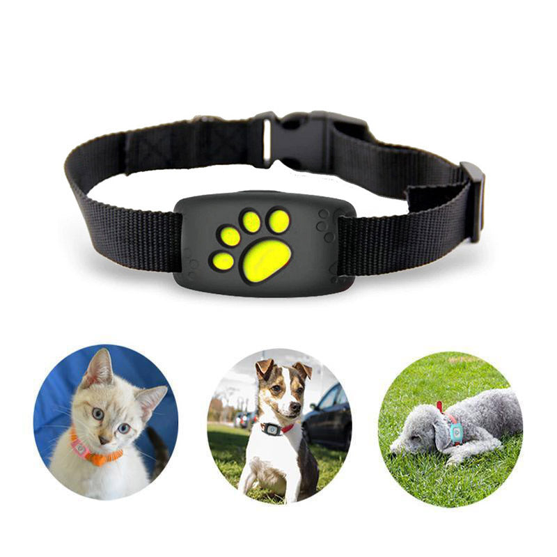PawTrack Pro GPS Pet Tracker – Real-Time Tracking, No Subscription ...